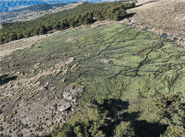 Itinerario 3: Acequias de careo y riego del río Mecina (Granada ...